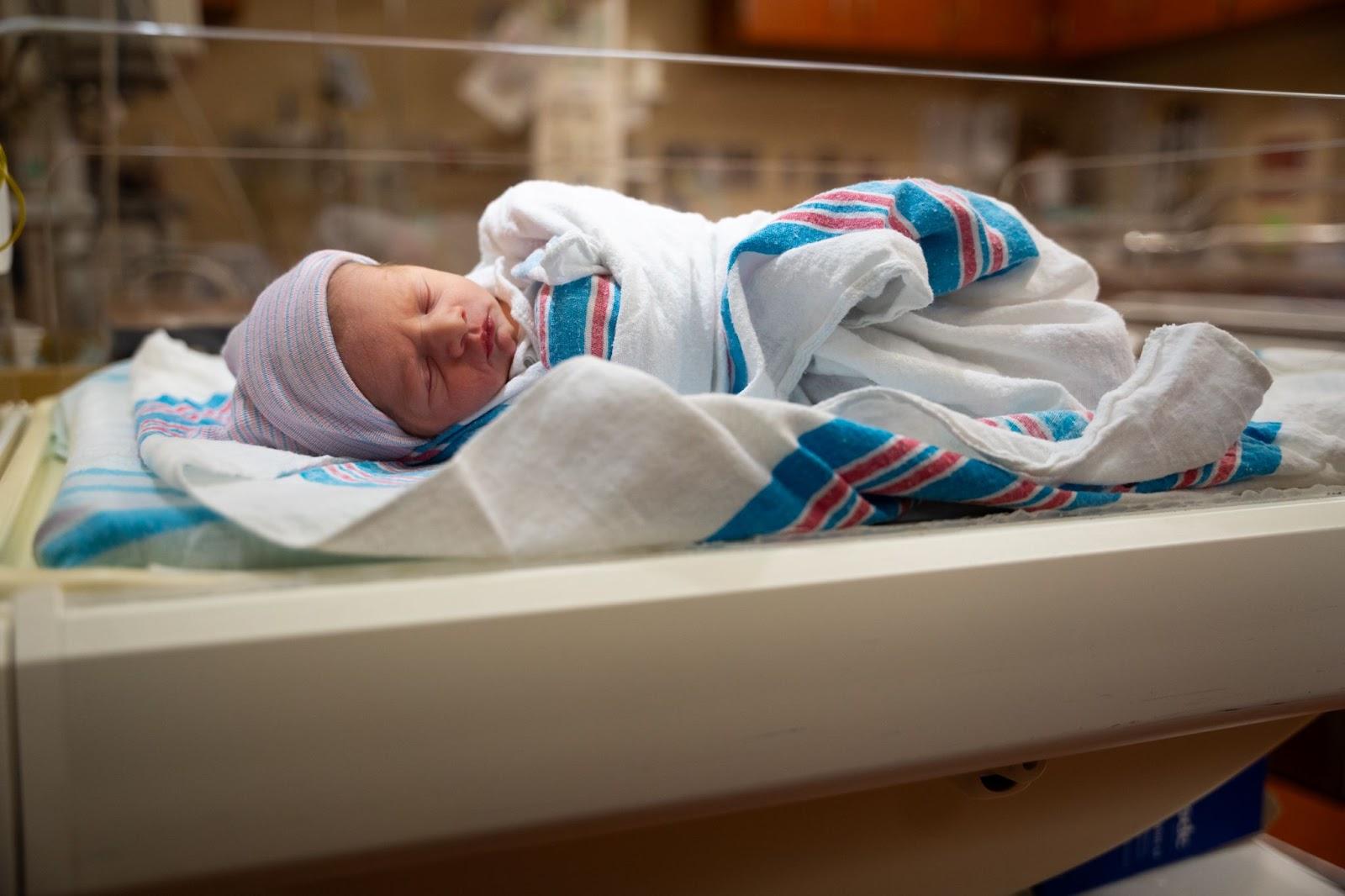 North Star Health Alliance Welcomes 2024 Babies: A New Generation of ...